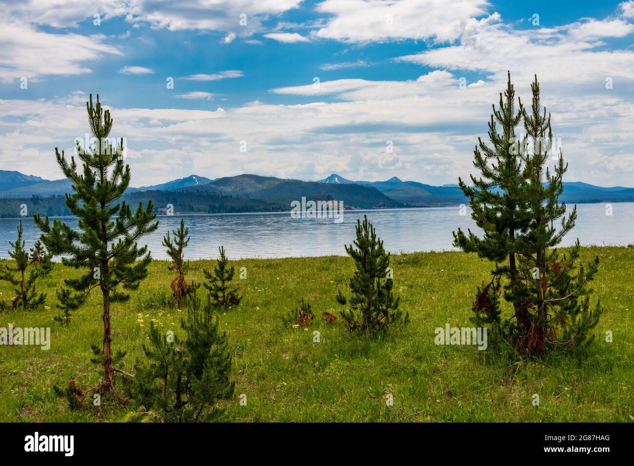 Views of Yellowstone lake Along Storm Point Nature Trail Stock Photo ...