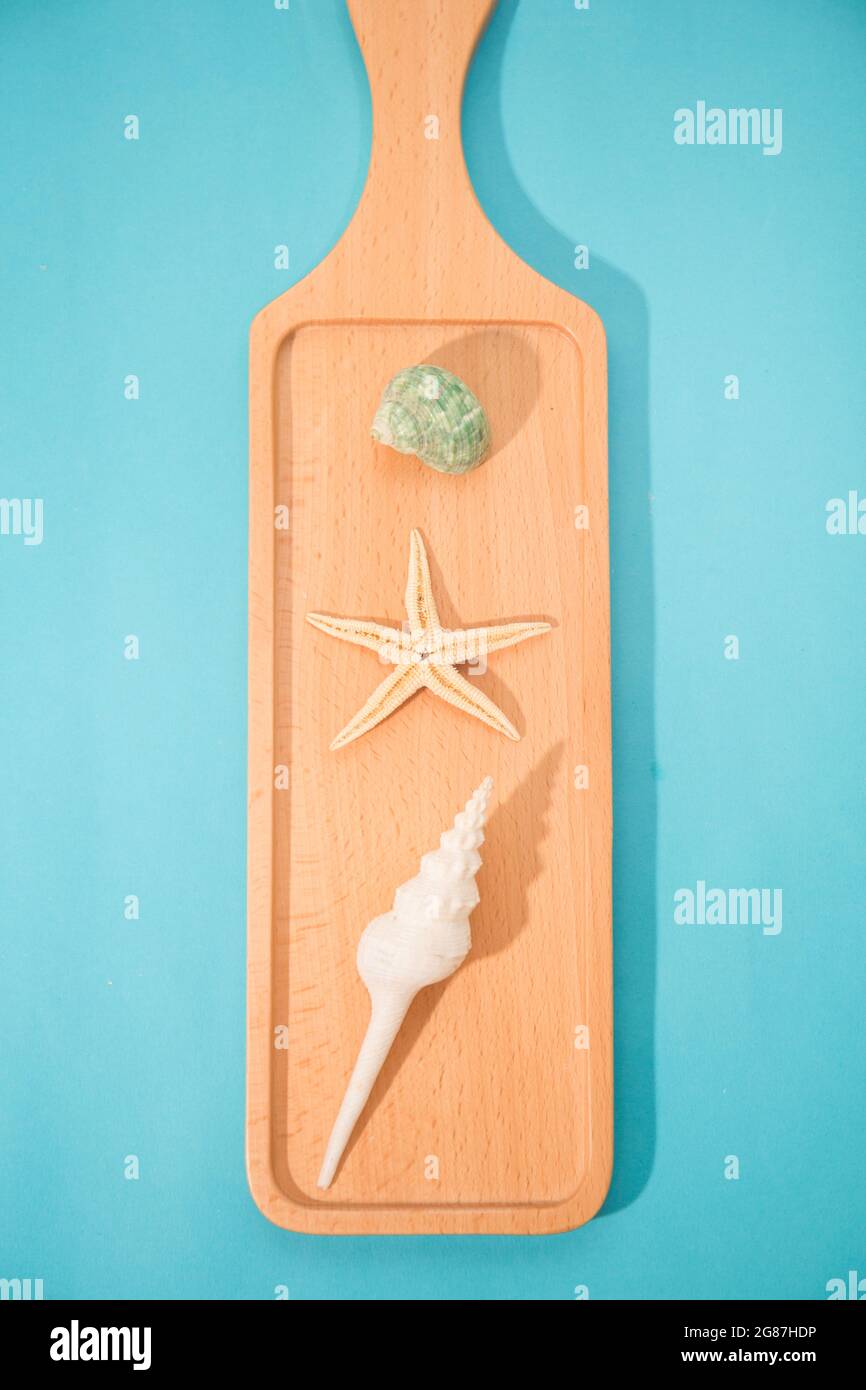 Vertical, flat lay shot of a cooking board and sea urchins on it with a ...