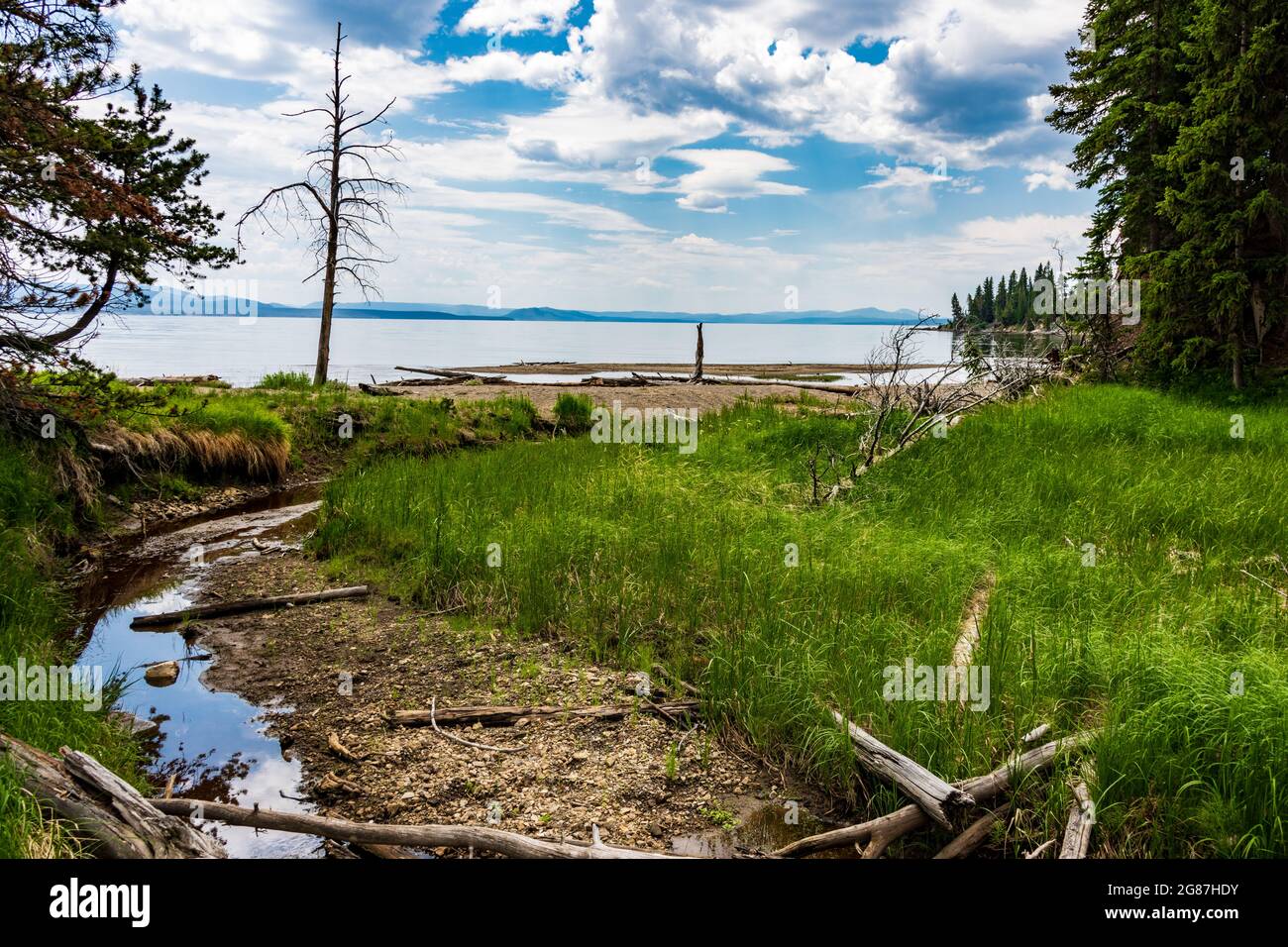 Views of Yellowstone lake Along Storm Point Nature Trail Stock Photo ...