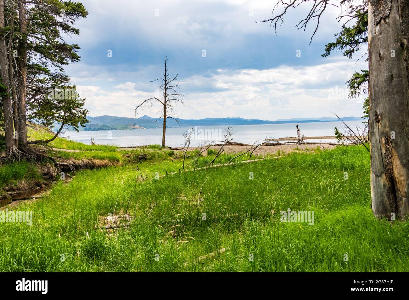 Views of Yellowstone lake Along Storm Point Nature Trail Stock Photo ...