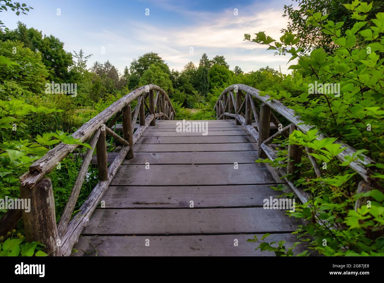 Wooden Bridge over the pond on a walking path in a famous Stanley Park ...