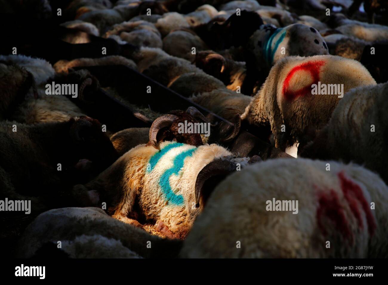 Beirut. 17th July, 2021. Photo taken on July 17, 2021 shows numbered ...