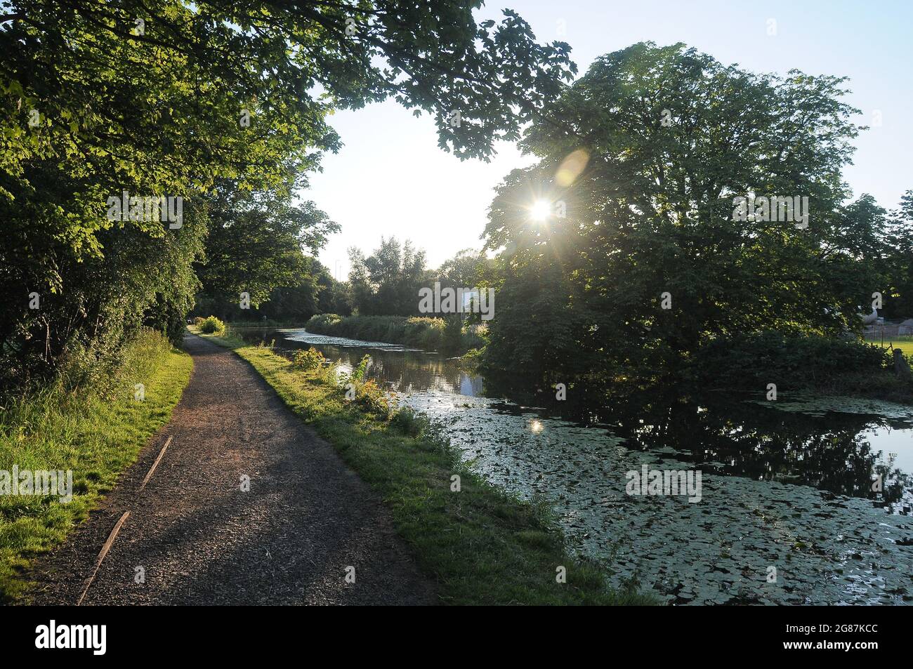 Summers evening walk Stock Photo - Alamy