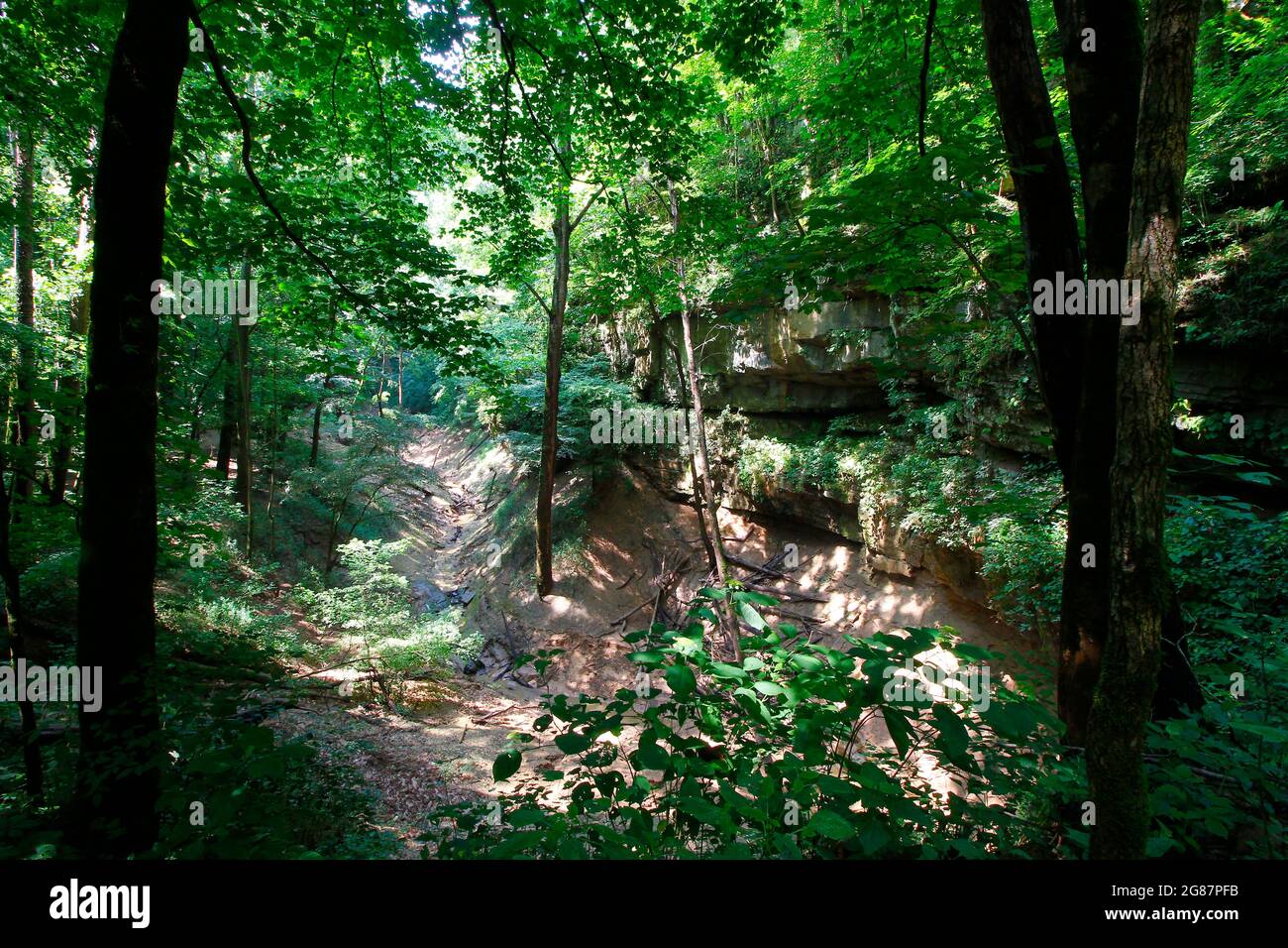 Views from the Cedar Sink Trail, Mammoth Cave National Park, Kentucky ...