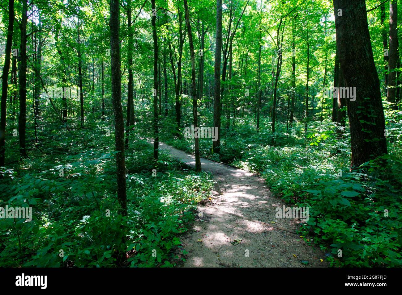 Cedar Sink Mammoth Cave National Park Cedar Sink Trail, Kentucky
