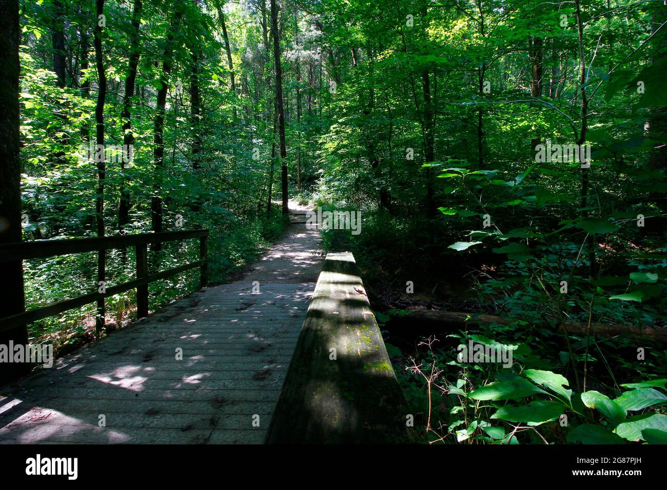 Views from the Cedar Sink Trail, Mammoth Cave National Park, Kentucky ...