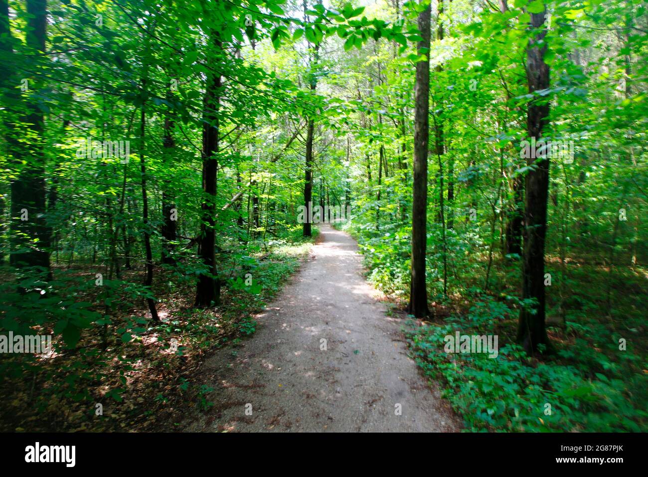 Views from the Cedar Sink Trail, Mammoth Cave National Park, Kentucky ...