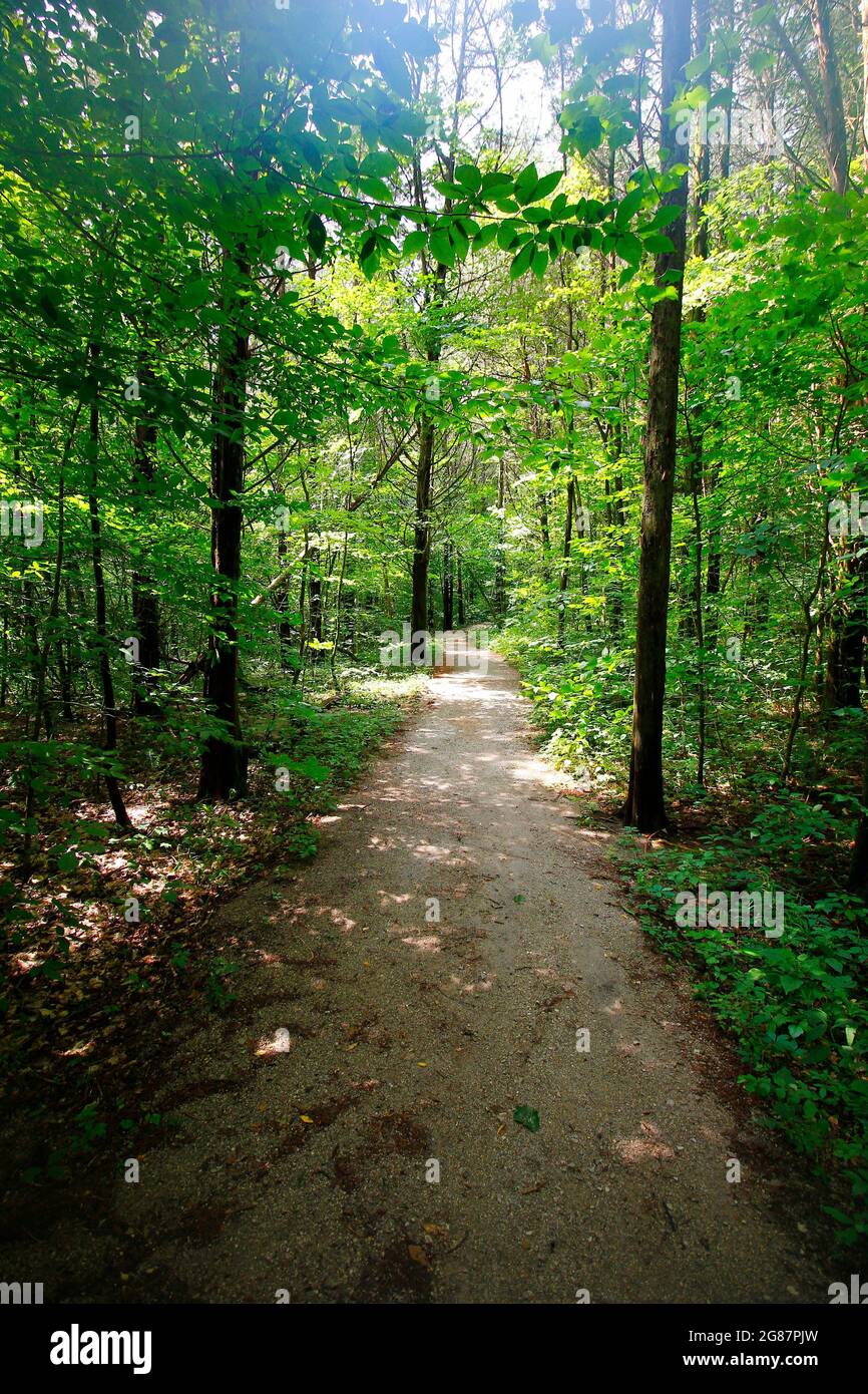 Views from the Cedar Sink Trail, Mammoth Cave National Park, Kentucky ...