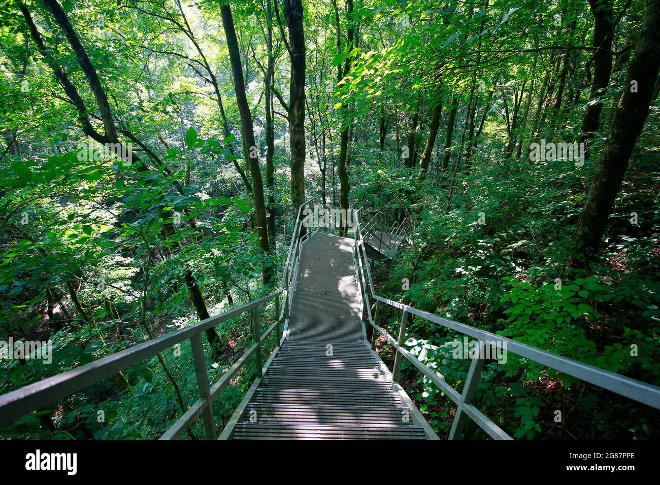 Views from the Cedar Sink Trail, Mammoth Cave National Park, Kentucky ...