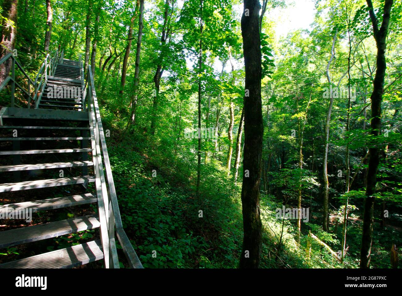 Cedar Sink Mammoth Cave National Park Cedar Sink Trail, Kentucky