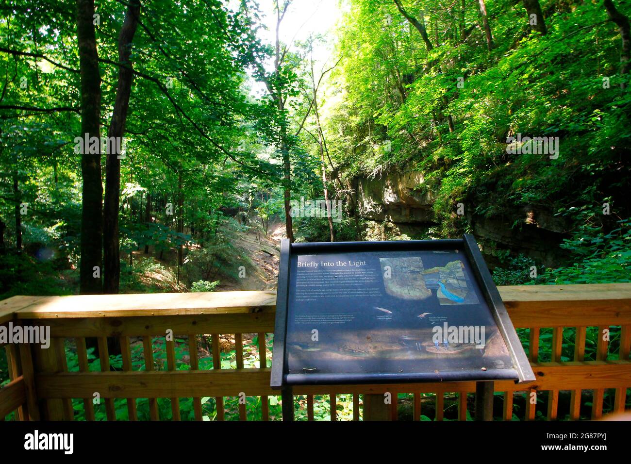 Views from the Cedar Sink Trail, Mammoth Cave National Park, Kentucky ...