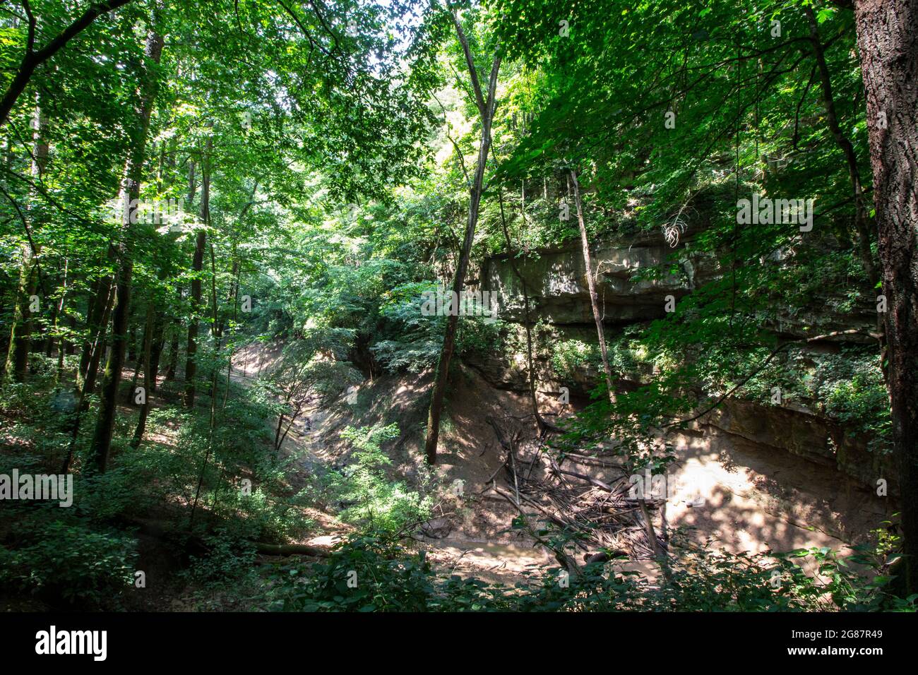 Views from the Cedar Sink Trail, Mammoth Cave National Park, Kentucky ...