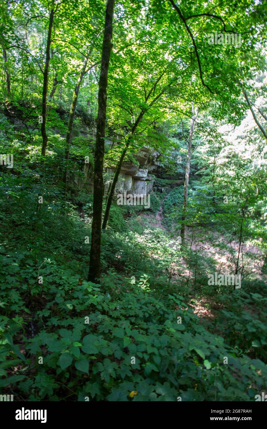 Views from the Cedar Sink Trail, Mammoth Cave National Park, Kentucky ...