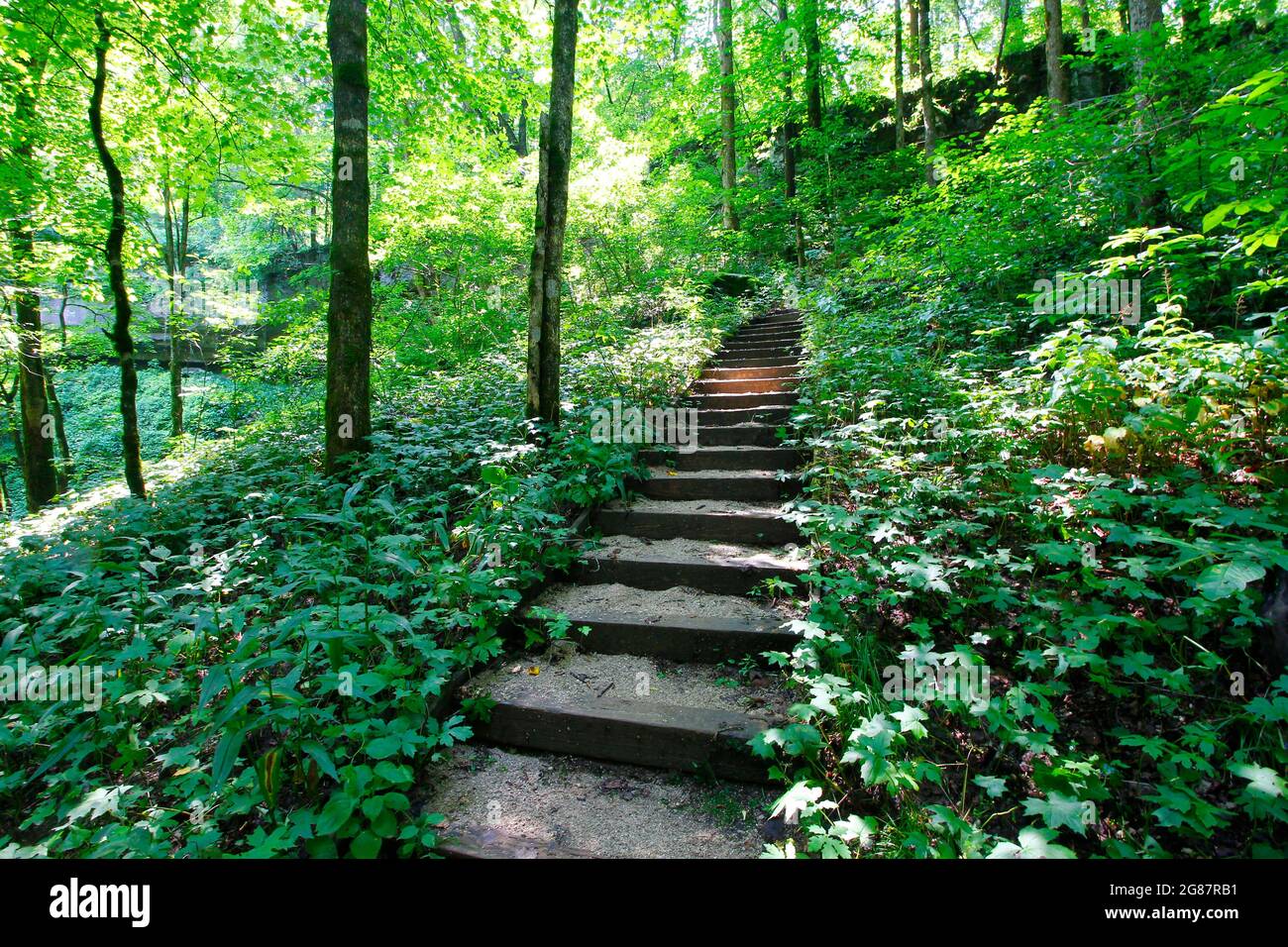 Cedar Sink Trail Mammoth Cave