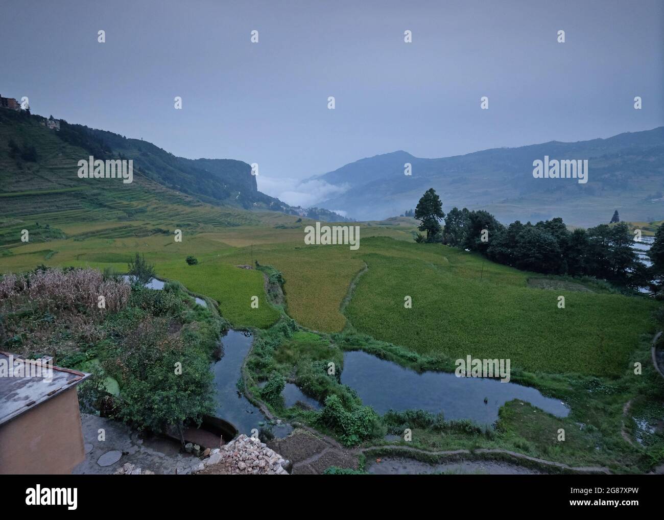 Amazing fields of rice a style of Agriculture in Yunnan Province south ...
