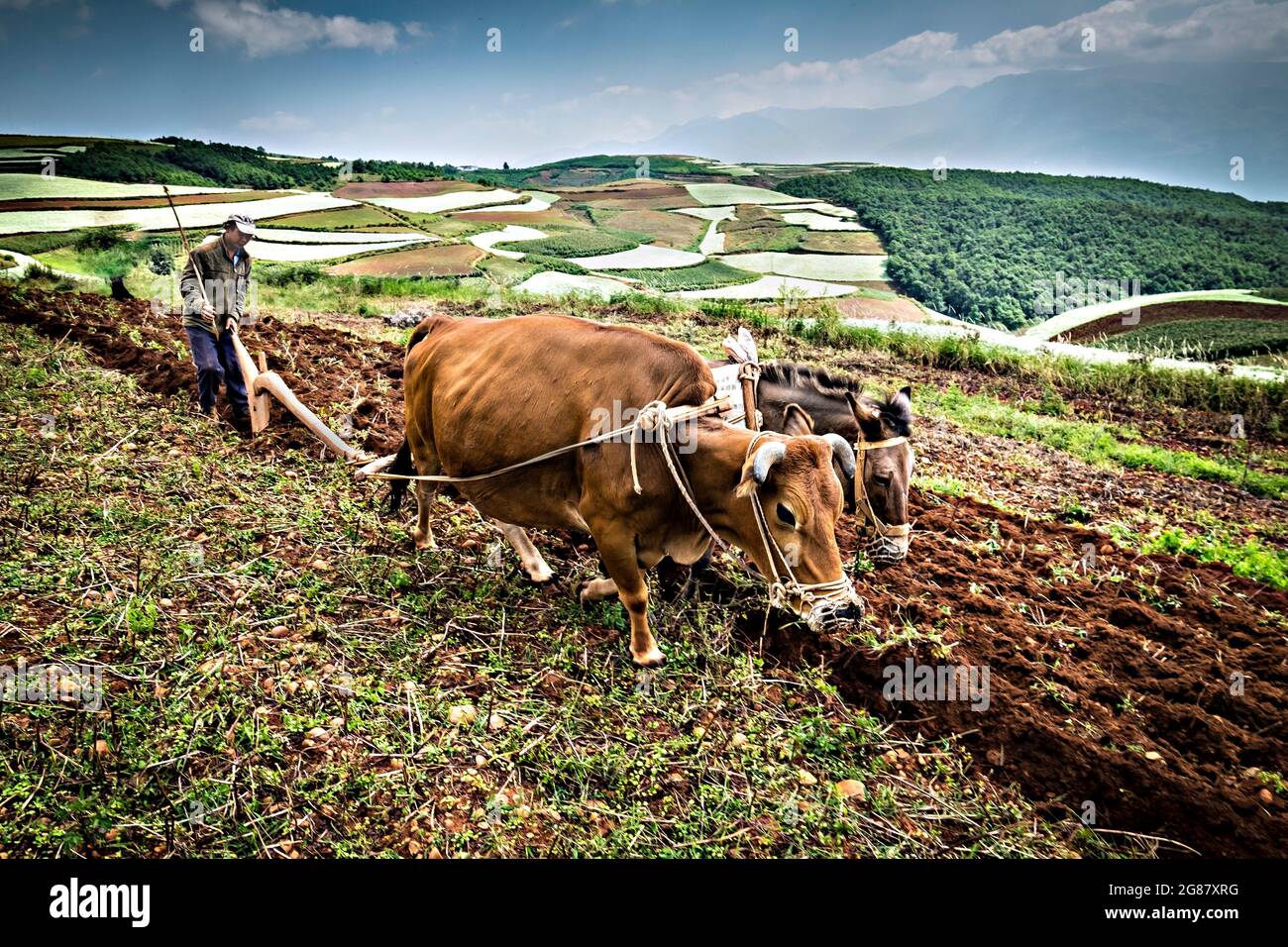 Amazing fields of rice a style of Agriculture in Yunnan Province south ...