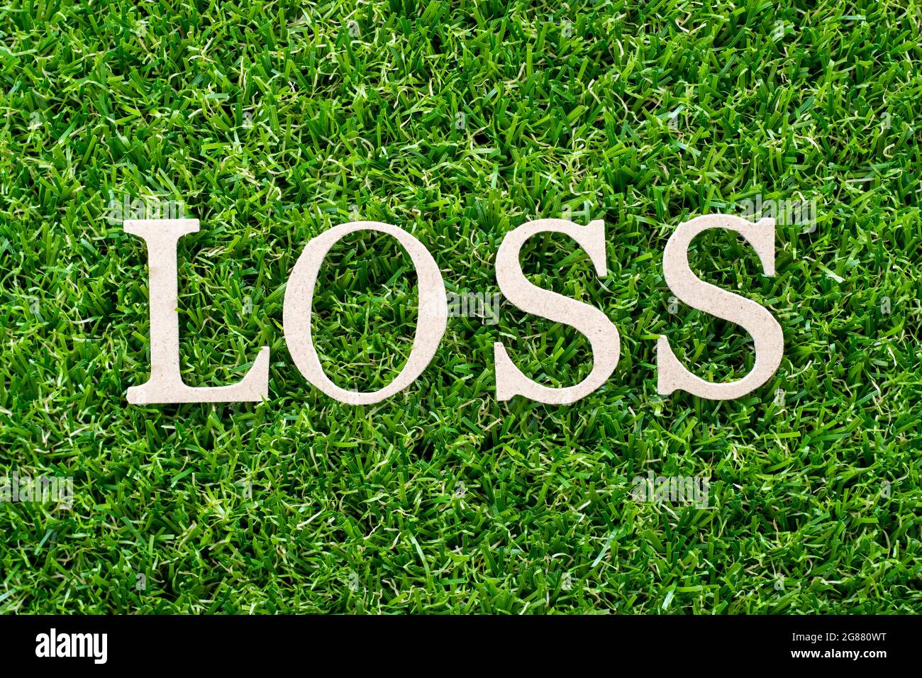 Wood letter in word loss on artificial green grass background Stock ...