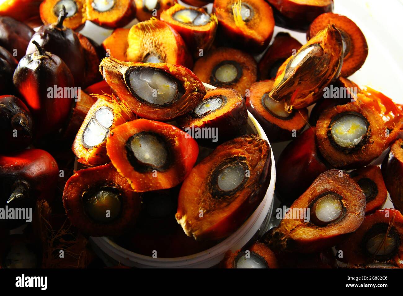 Palm oil is an edible vegetable oil derived from the mesocarp of the ...
