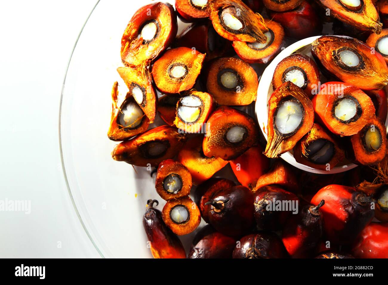 Palm oil is an edible vegetable oil derived from the mesocarp of the ...