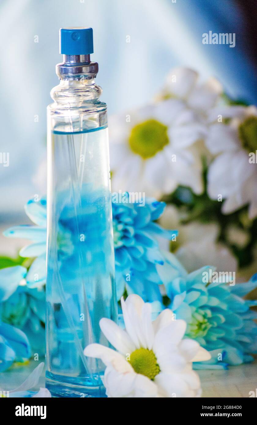 bottle of floral perfume on a background of camomile flowers and ...