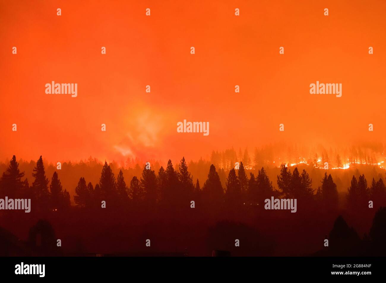 Markleeville, United States. 16th July, 2021. Trees burn through the ...