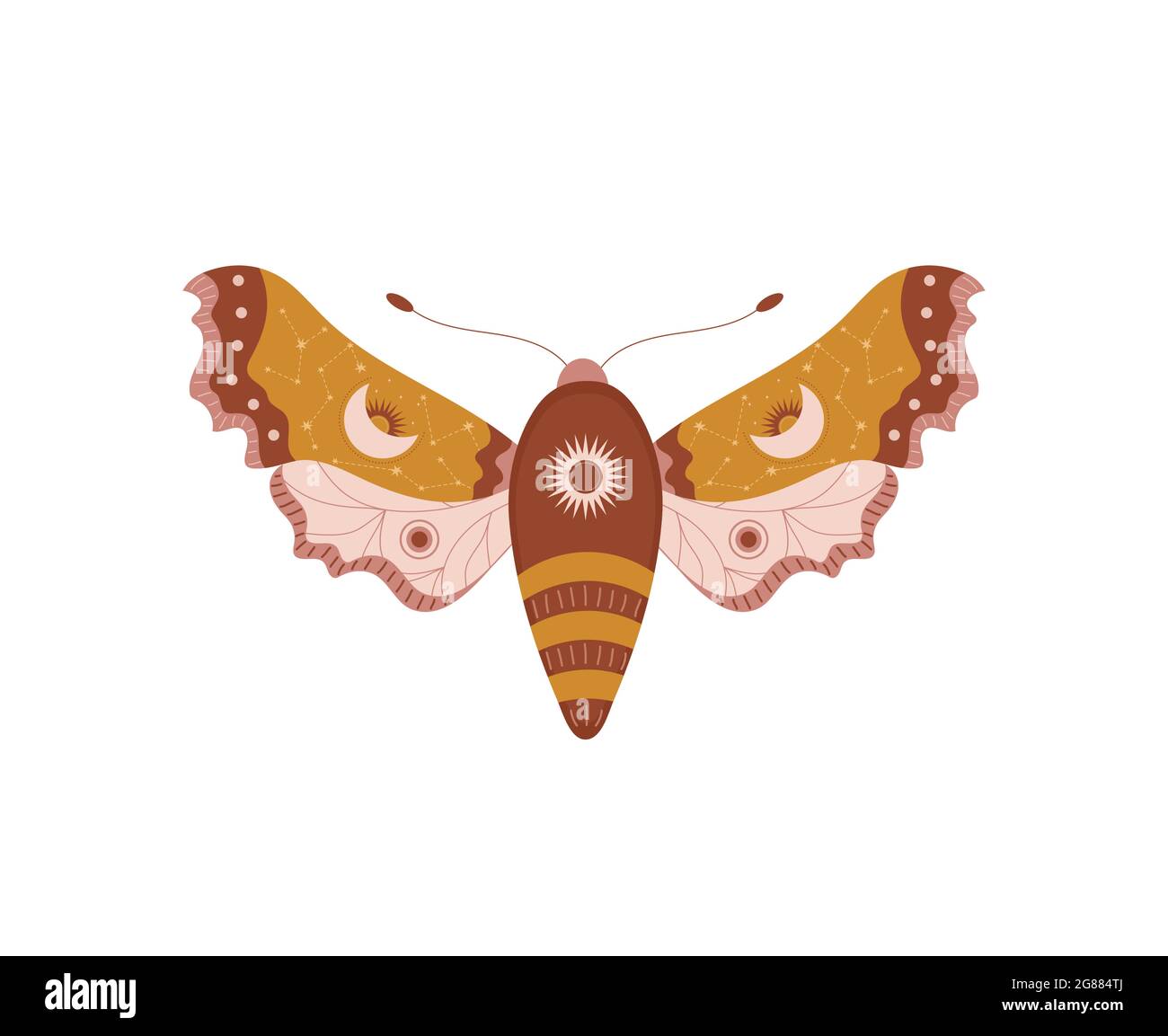 Boho butterfly. Insect with celestial elements. Witch and magic symbol ...