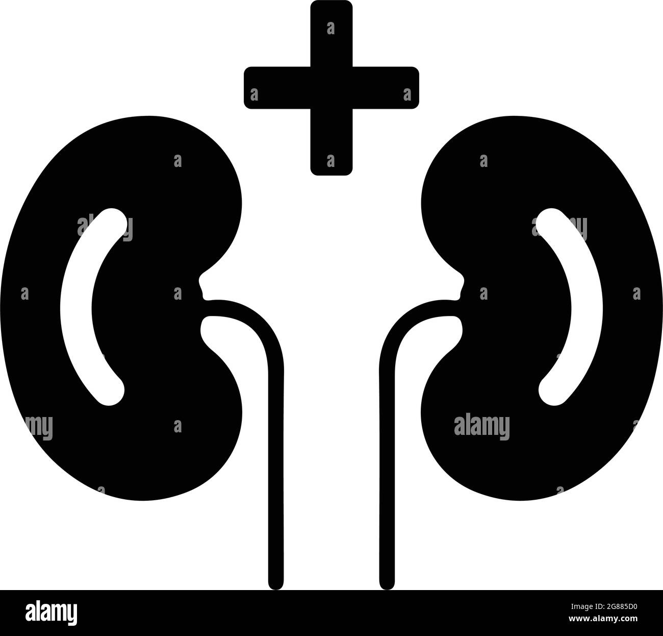 Nephrology vector vectors Stock Vector Images - Alamy