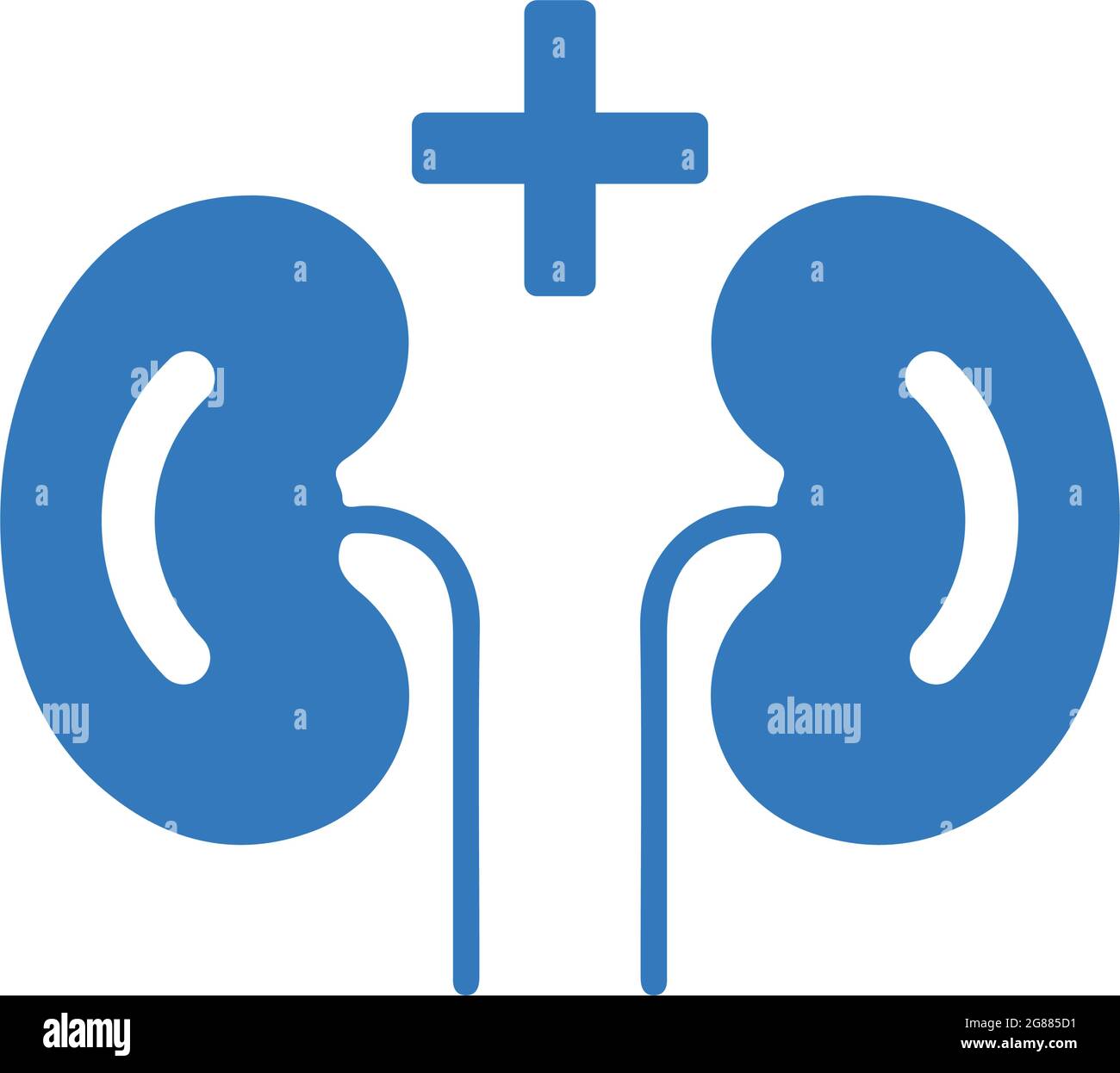 Nephrology icon hi-res stock photography and images - Alamy