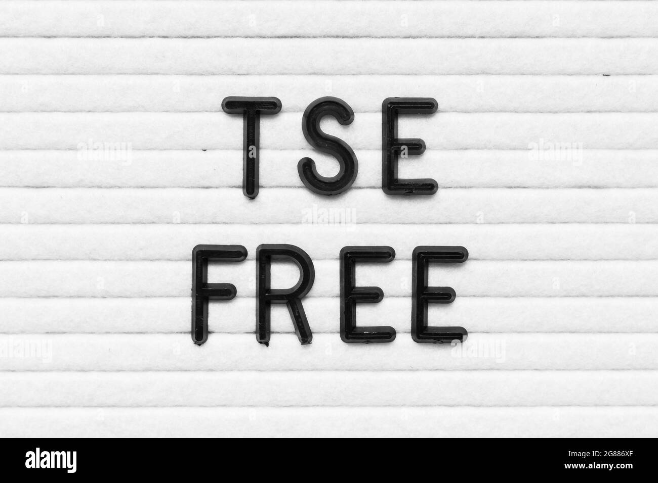 Black alphabet letter in word TSE (Transmissible Spongiform ...