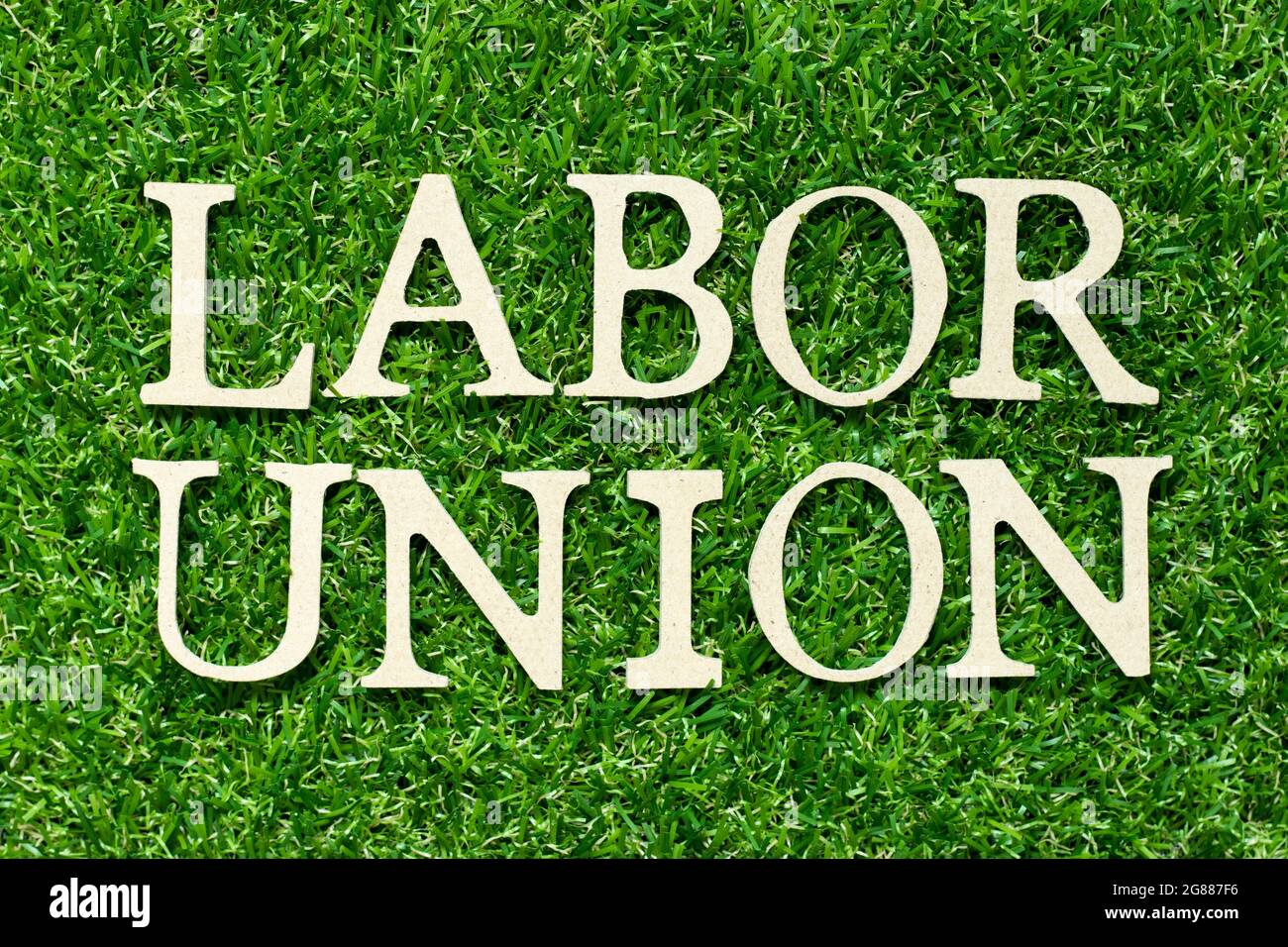 Wood letter in word labor union on green grass background Stock Photo ...
