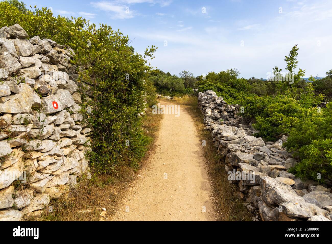 Footpath in the rural landscape of the dry walls of Ilovik island ...