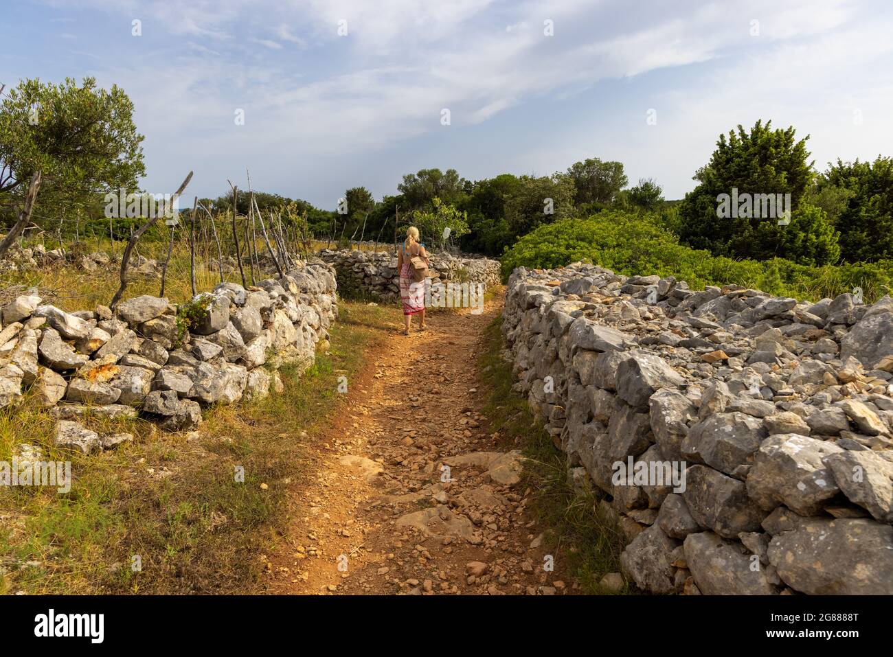 Footpath in the rural landscape of the dry walls of Ilovik island ...