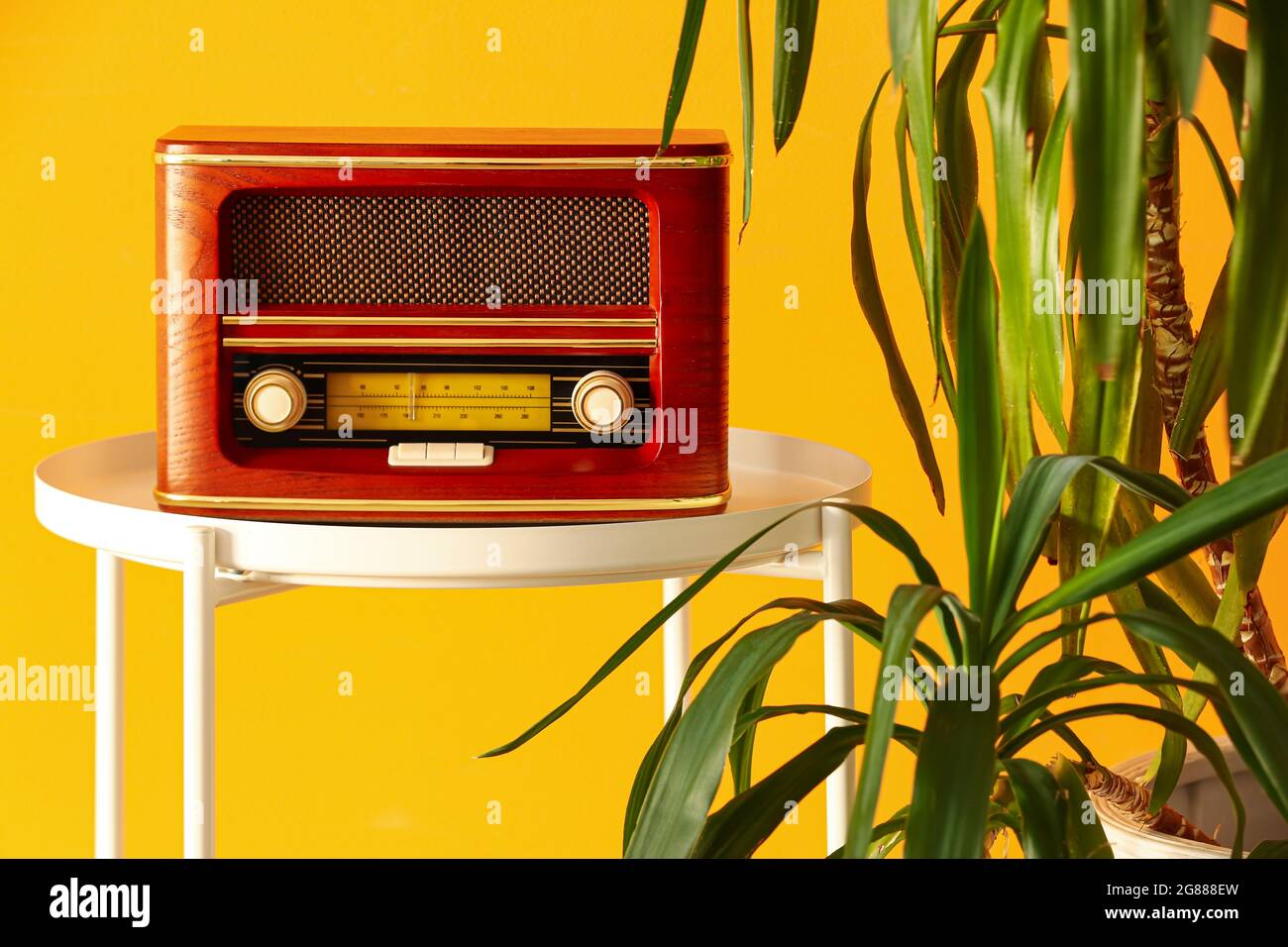 Retro radio receiver on table and houseplant near color wall Stock ...