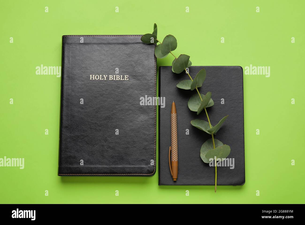 Holy Bible, notebook and eucalyptus branch on color background Stock ...