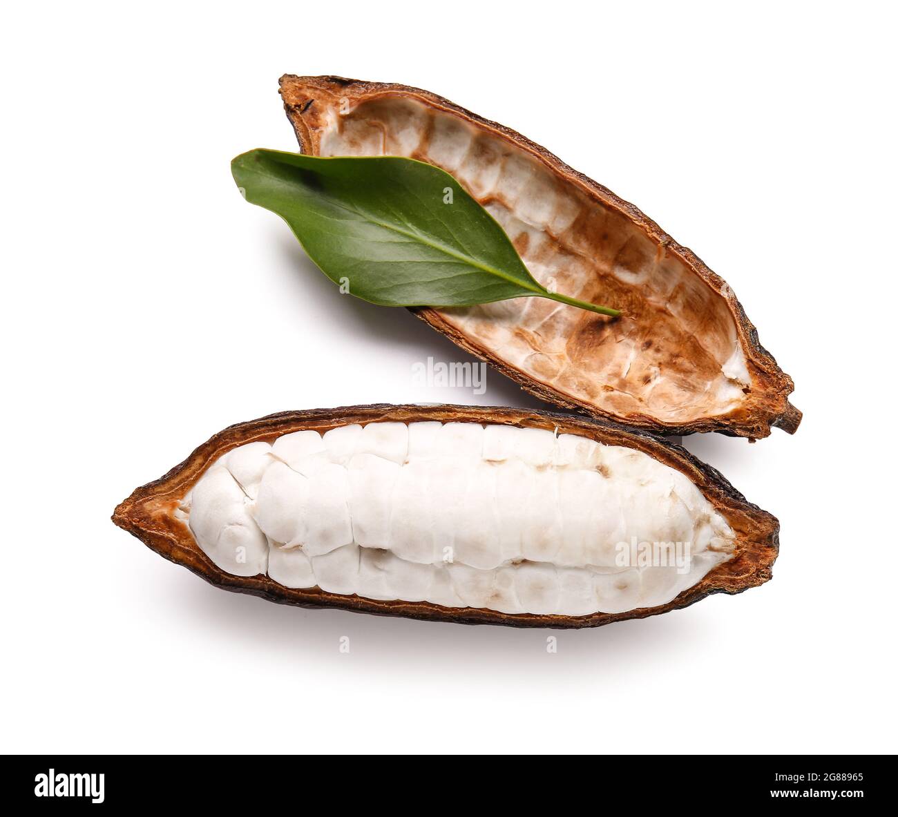 Fresh cocoa fruit on white background Stock Photo - Alamy