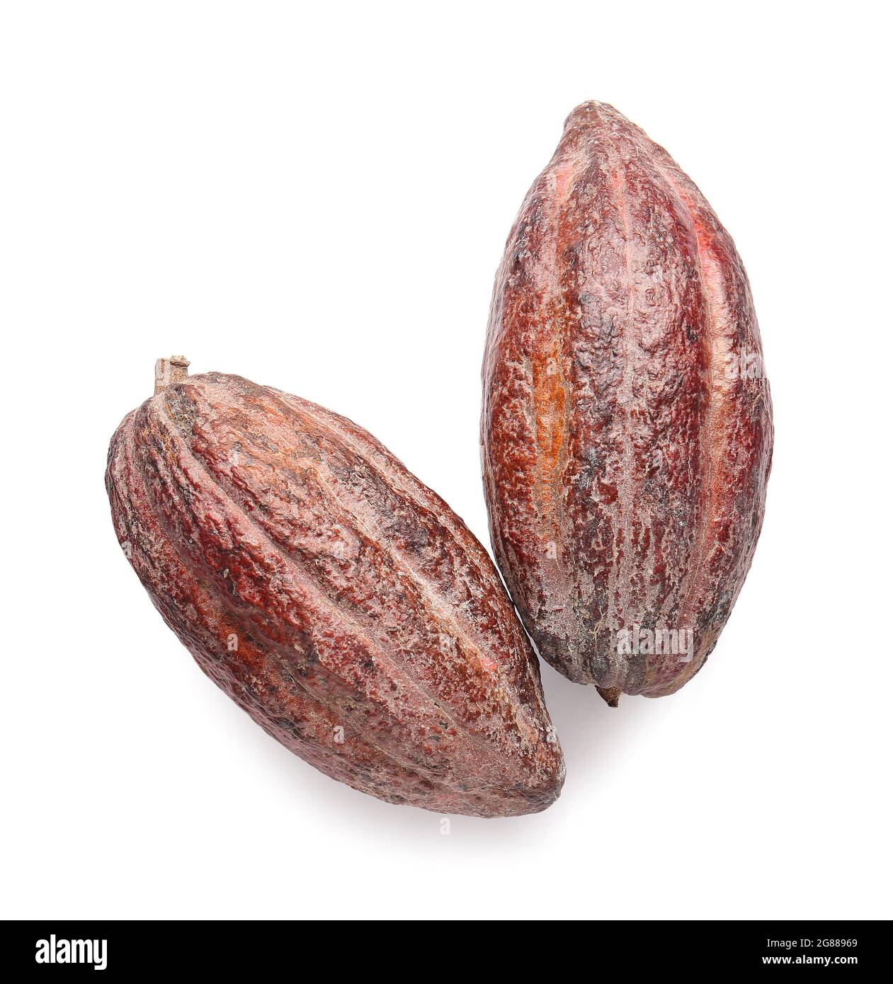 Fresh cocoa fruits on white background Stock Photo - Alamy
