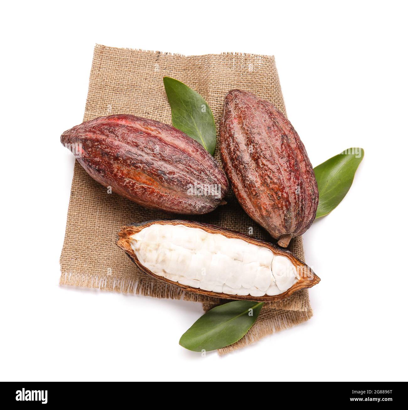 Fresh cocoa fruits on white background Stock Photo - Alamy