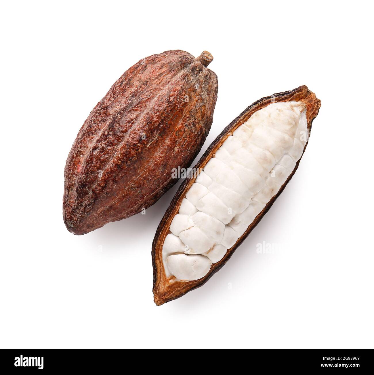 Fresh cocoa fruits on white background Stock Photo - Alamy