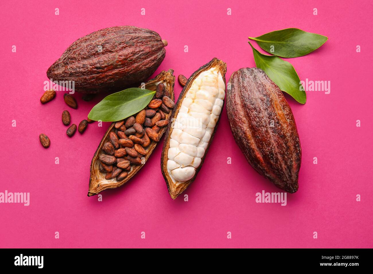 Fresh cocoa fruits and beans on color background Stock Photo - Alamy