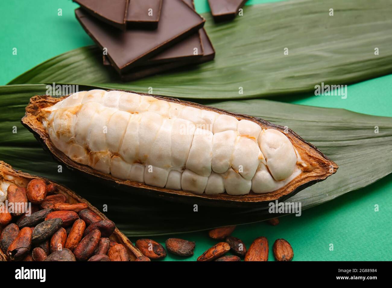 Fresh cocoa fruit, beans and chocolate on color background Stock Photo ...