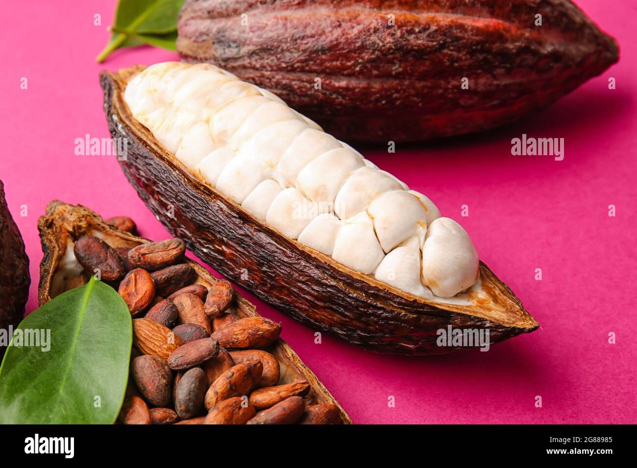 Fresh cocoa fruits and beans on color background, closeup Stock Photo ...