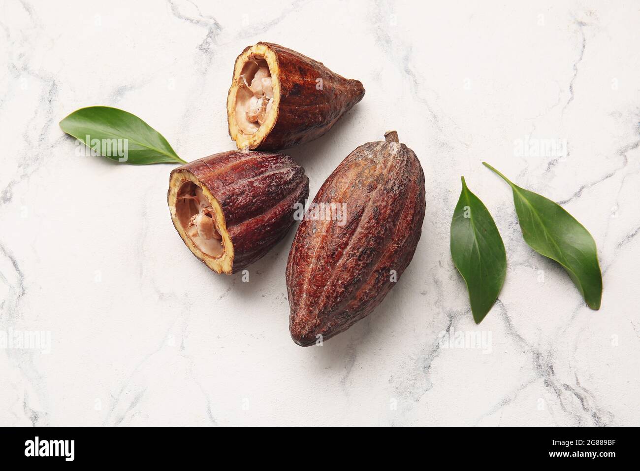 Fresh cocoa fruits on light background Stock Photo - Alamy