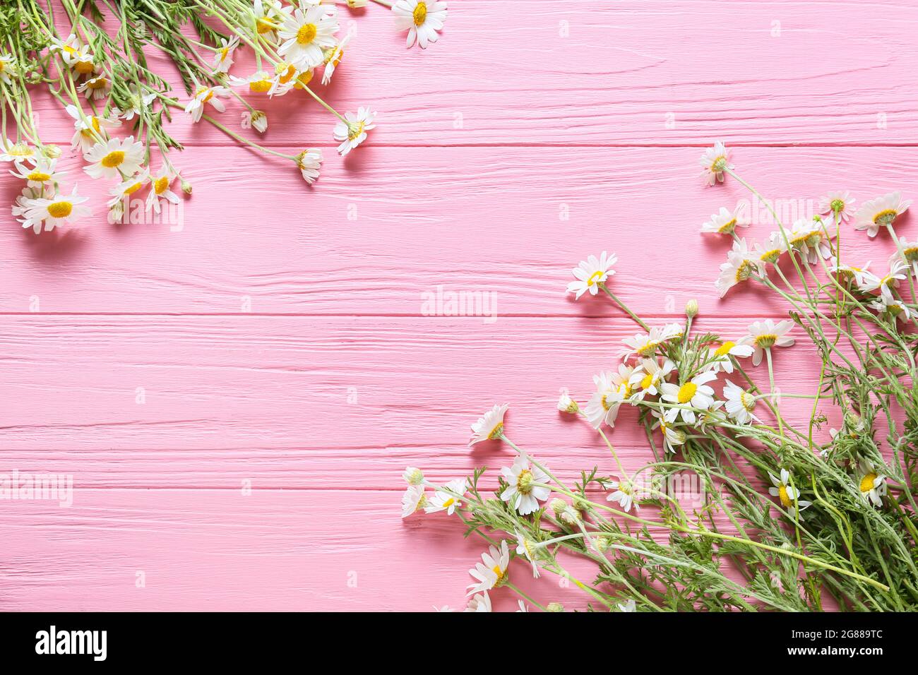 Beautiful chamomile flowers on color wooden background Stock Photo - Alamy