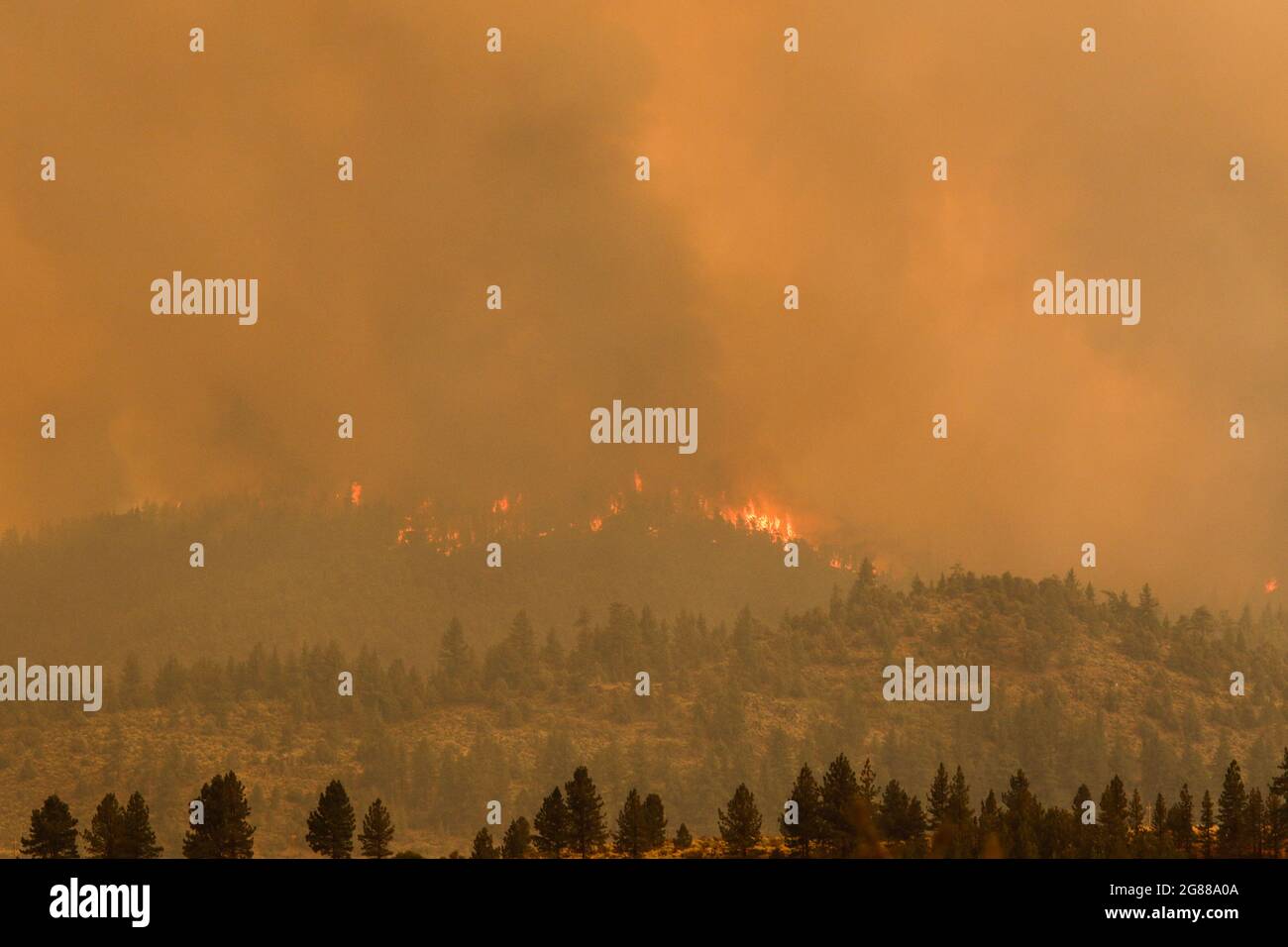 The Tamarack fire burns unchecked due to drought conditions and gusty ...