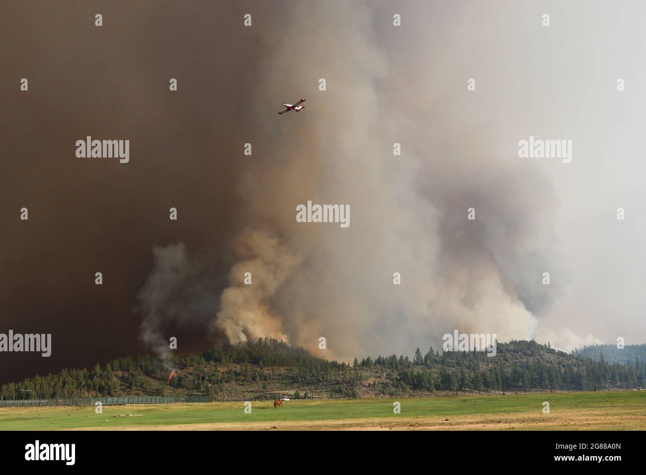The Tamarack fire burns unchecked due to drought conditions and gusty ...