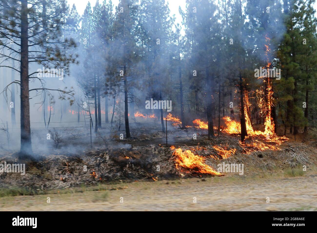 The Tamarack fire burns unchecked due to drought conditions and gusty ...
