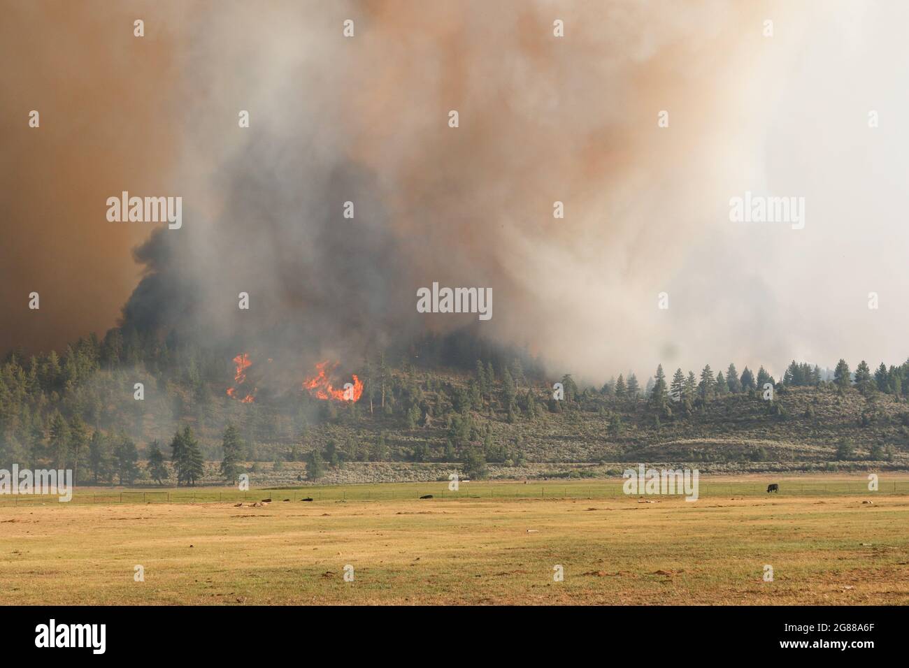 The Tamarack fire burns unchecked due to drought conditions and gusty ...