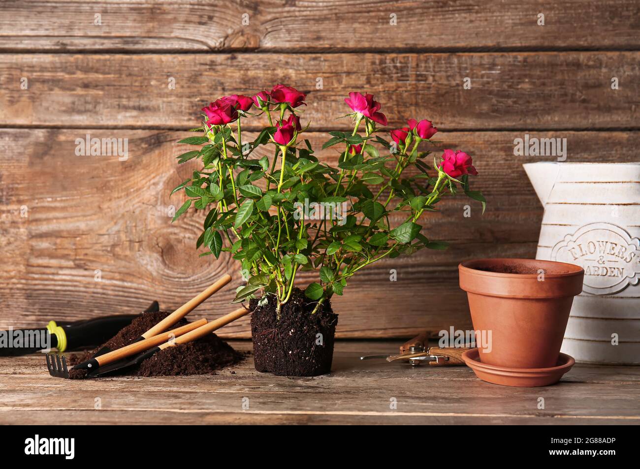 Rake leaves rose hi-res stock photography and images - Alamy