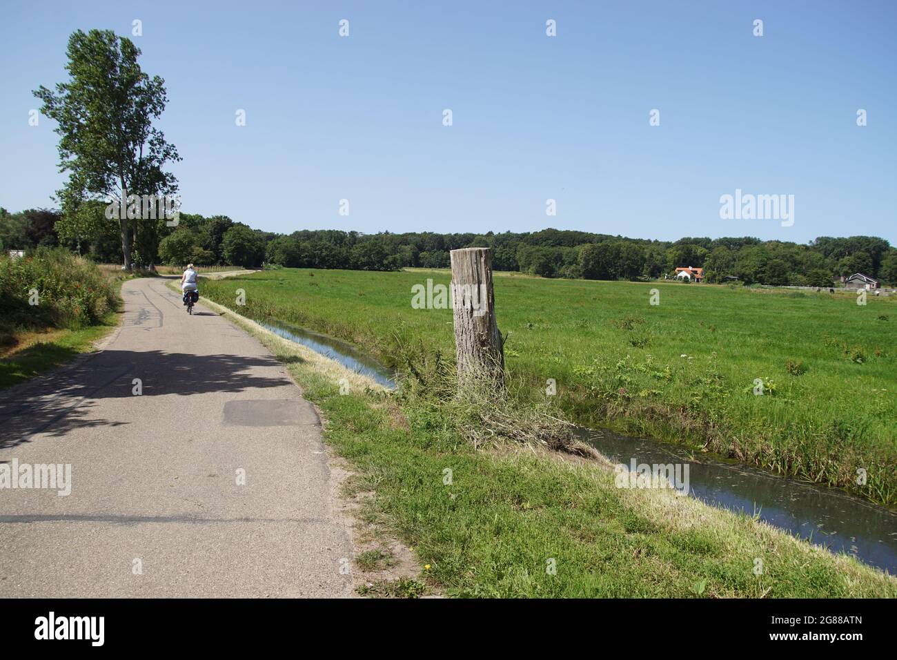 Pasture landscape. Small road, cyclist, meadows, ditch, tree and tree ...