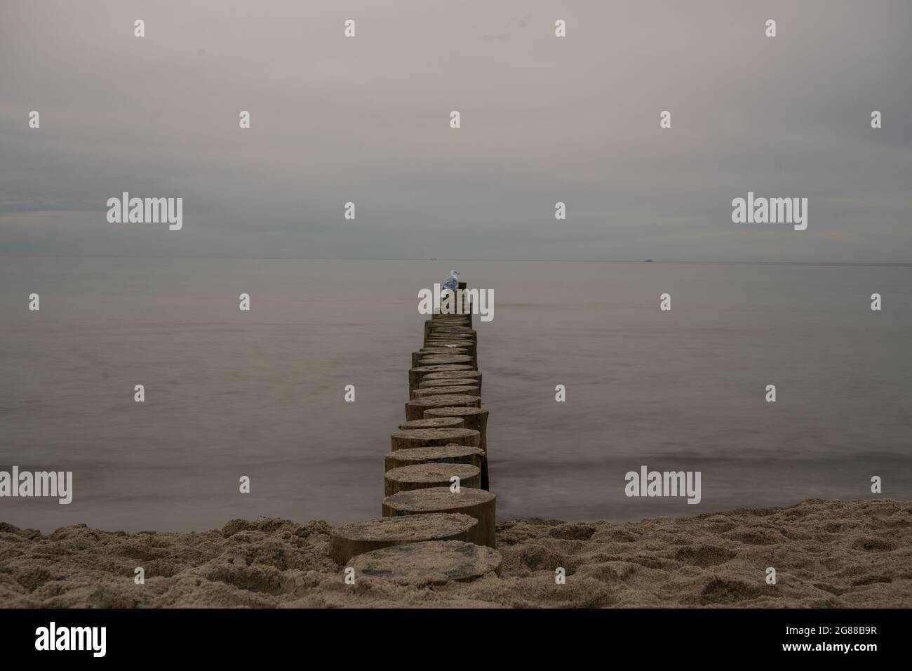 Groynes on beach baltic hi-res stock photography and images - Alamy